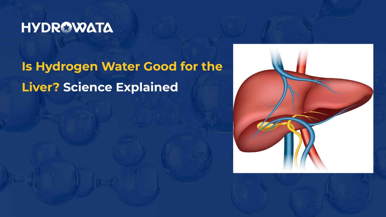 Is Hydrogen Water Good for the Liver? Science Explained – HydroWata