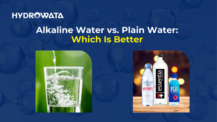 Alkaline Water vs. Plain Water: Which Is Better for Your Health? – HydroWata