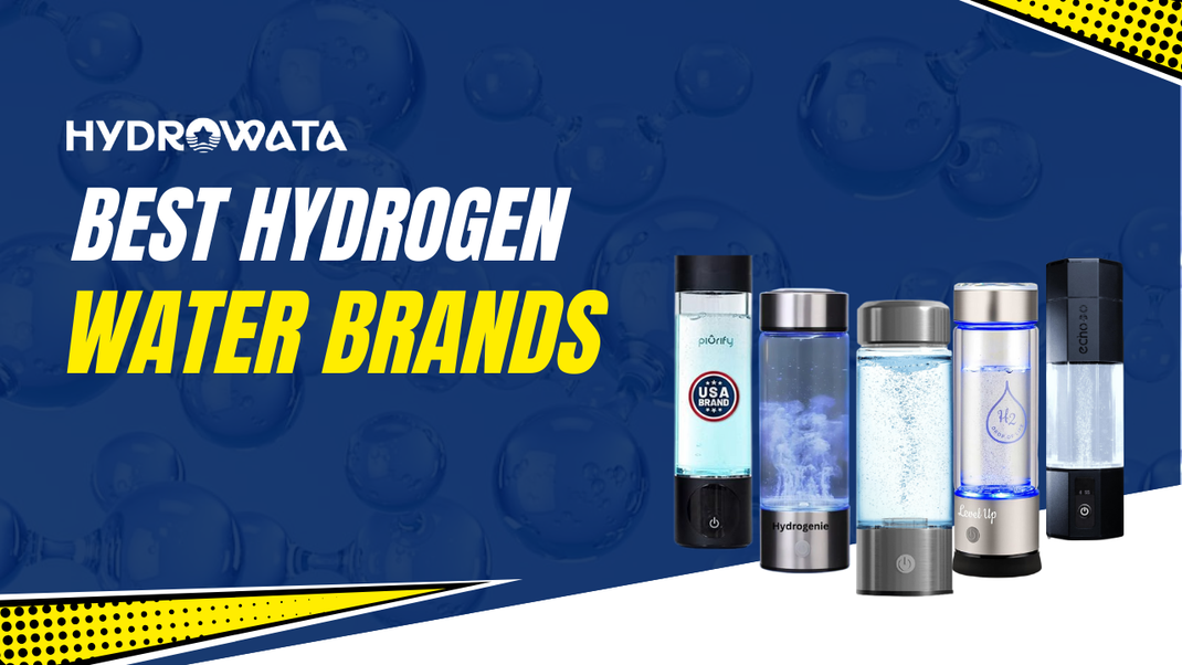 The 15 Best Hydrogen Water Brands - Updated – HydroWata